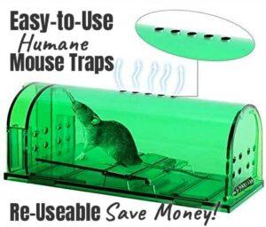 Humane Mouse Trap Review - Do They Work?